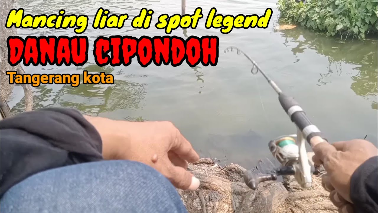Mancing liar di danau wisata Cipondoh @jaddahmancing #mancingliar # ...