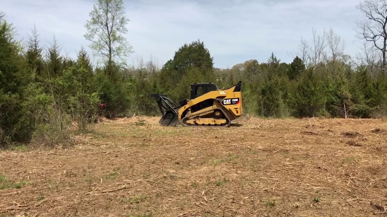 Clearing a Cedar Thicket, Part 1 - Forestry Mulching - YouTube