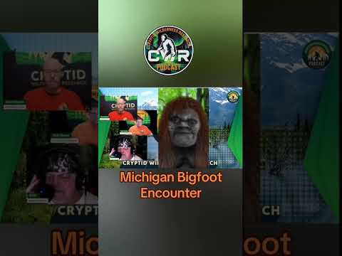Bigfoot in Michigan! #bigfoot #cryptids #michigan #paranormal #outdoors #hiking 