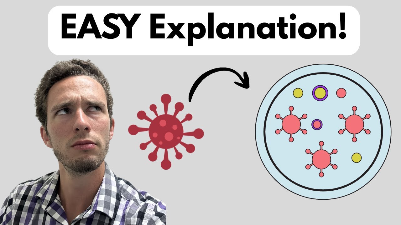 HIV Pathophysiology & Pharmacology - Made SIMPLE! - YouTube