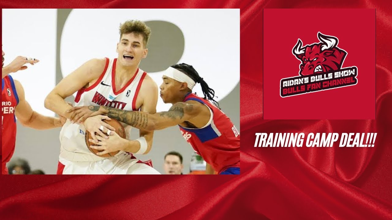 The Chicago Bulls have signed Henri Drell on a training camp deal ...