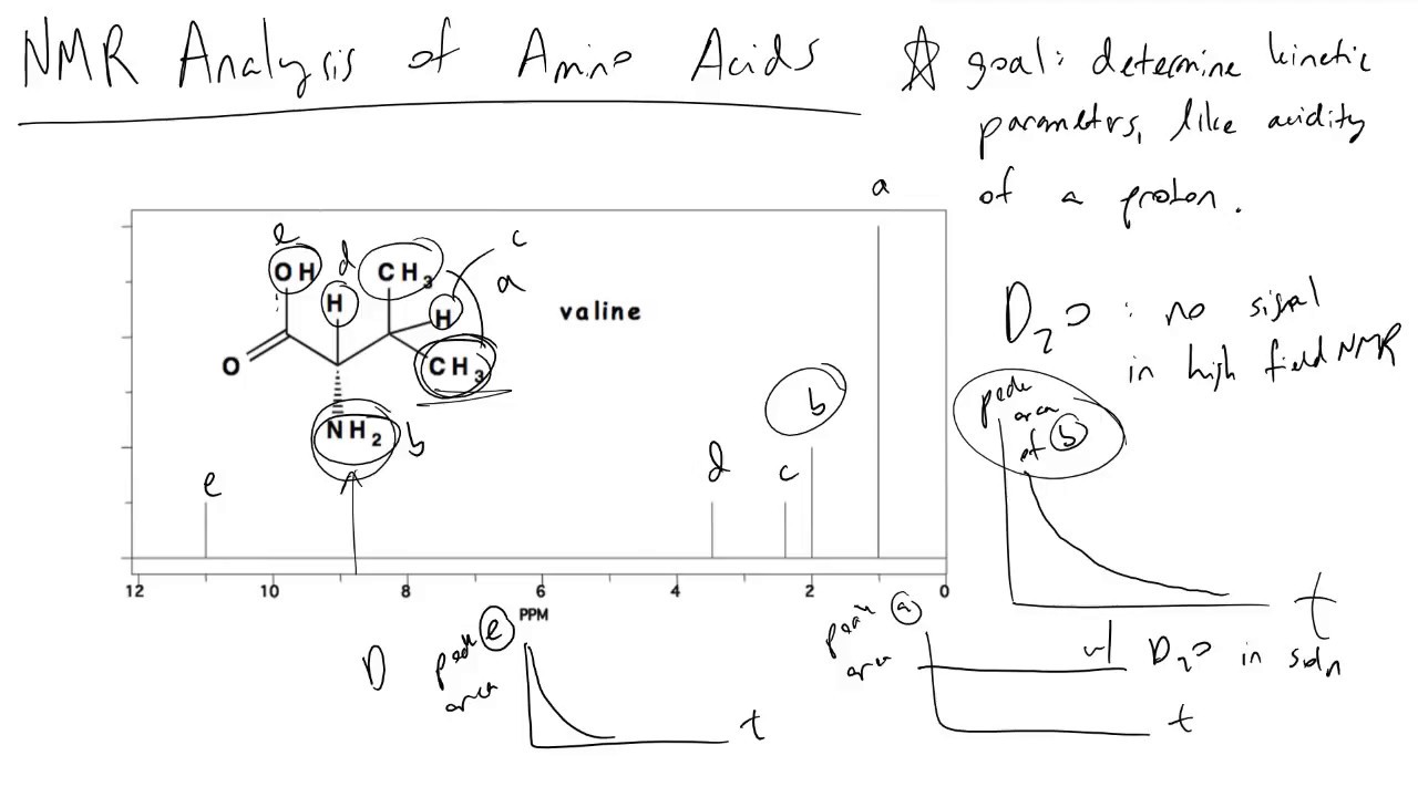 NMR Analysis of Kinetic and Acidic Parameters - YouTube