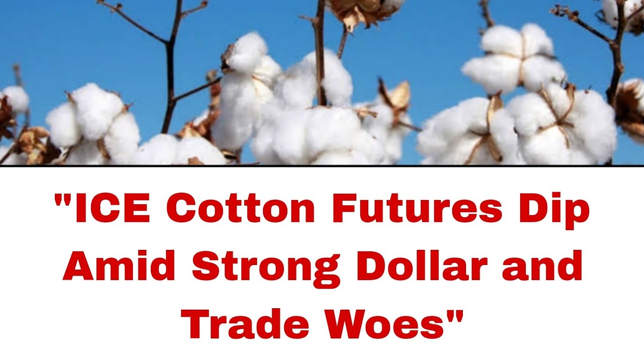 "ICE Cotton Futures Dip Amid Strong Dollar and Trade Woes" - YouTube