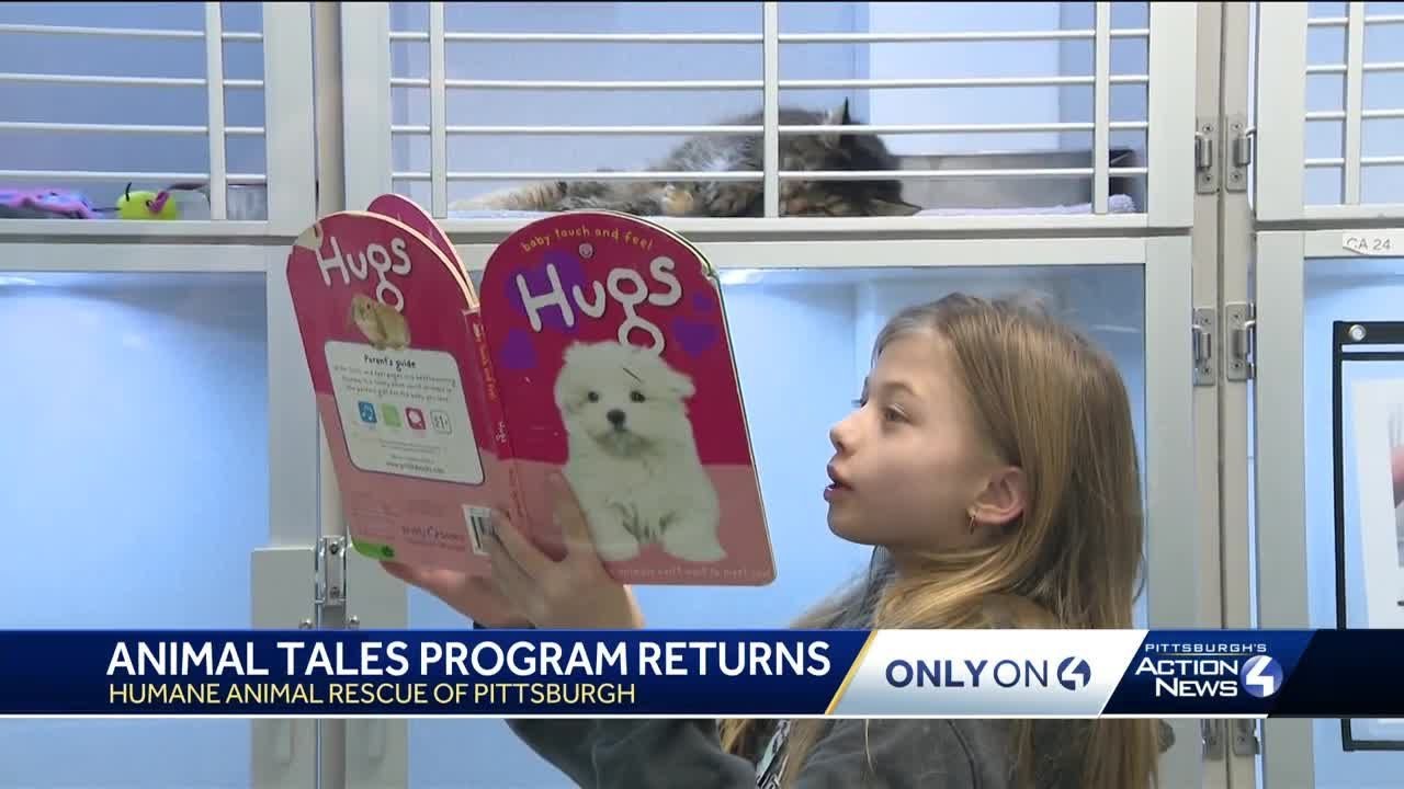 Kids practice reading to animals at Pittsburgh shelter - YouTube