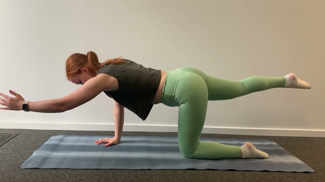 Bird Dog Exercise for back strength. Drysdale Remedial Therapies - YouTube