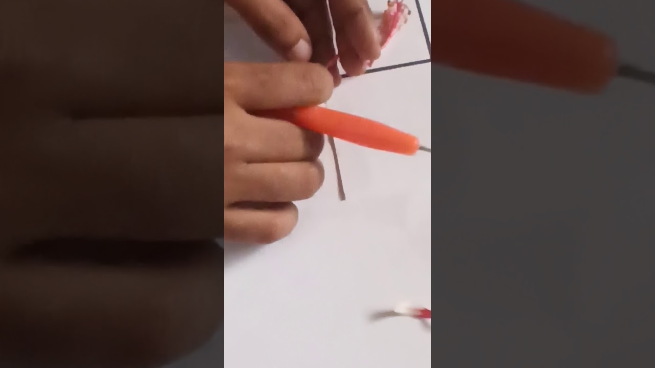 How To Dissect A Hibiscus Flower YouTube How To Dissect A Hibiscus Flower YouTube