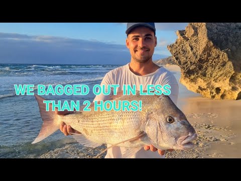 BAGGING OUT ON LAND BASED PINK SNAPPER SOUTH OF PERTH | WESTERN ...