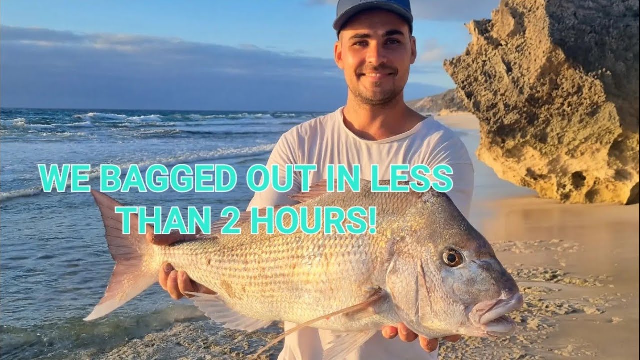 BAGGING OUT ON LAND BASED PINK SNAPPER SOUTH OF PERTH | WESTERN ...