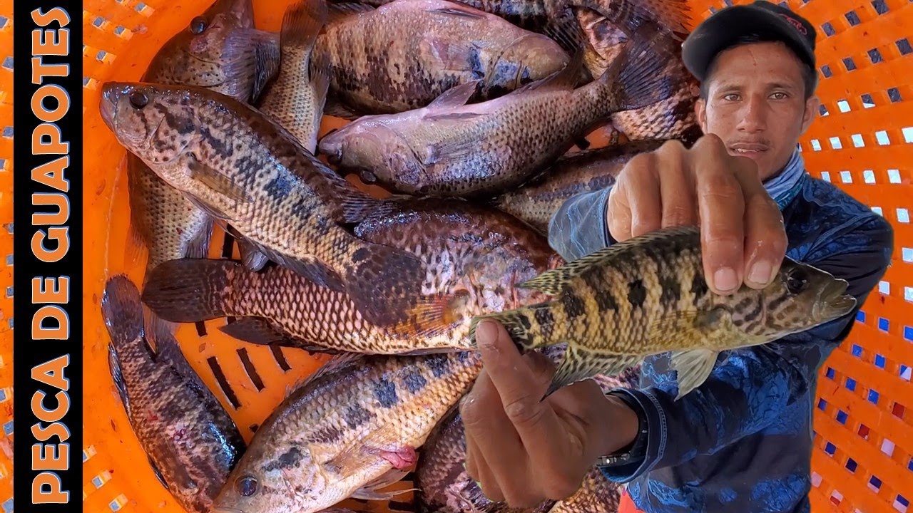 La PESCA DE GUAPOTES desde la CASA FLOTANTE en el Lago de Güija - YouTube