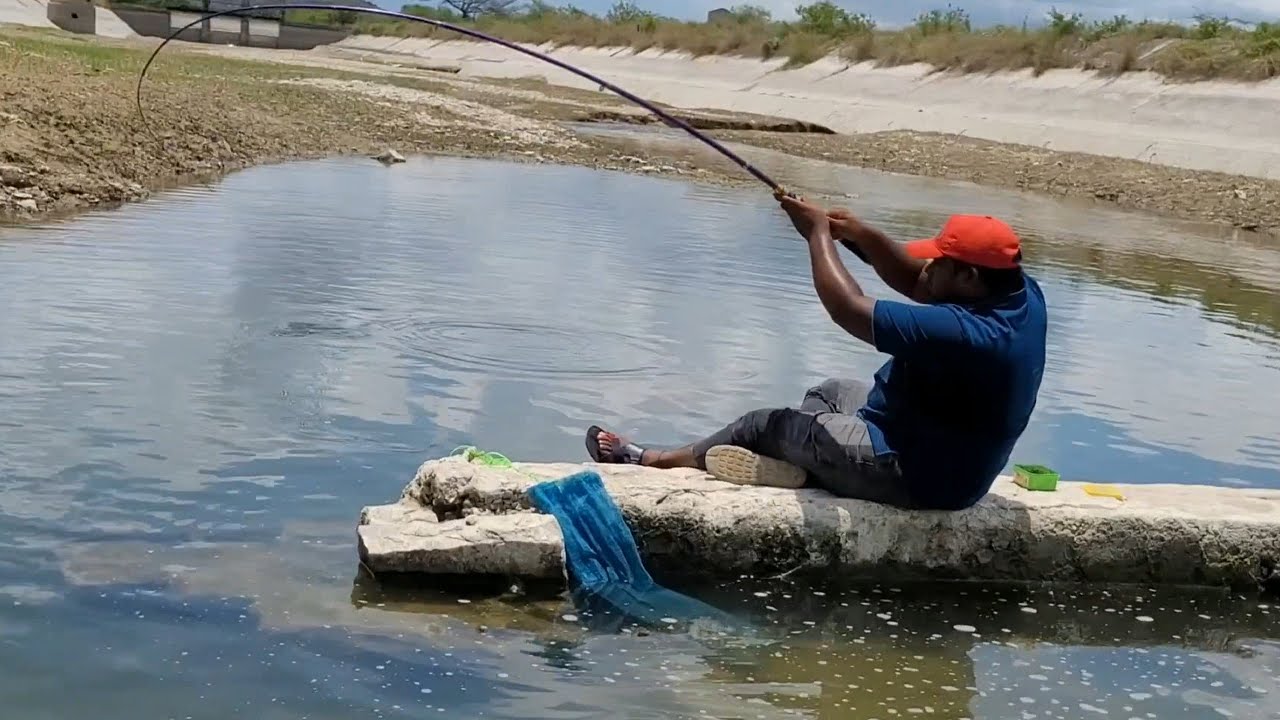 Best Fishing Technique|Fishing for Tilapia fishes to Catch With Singal ...