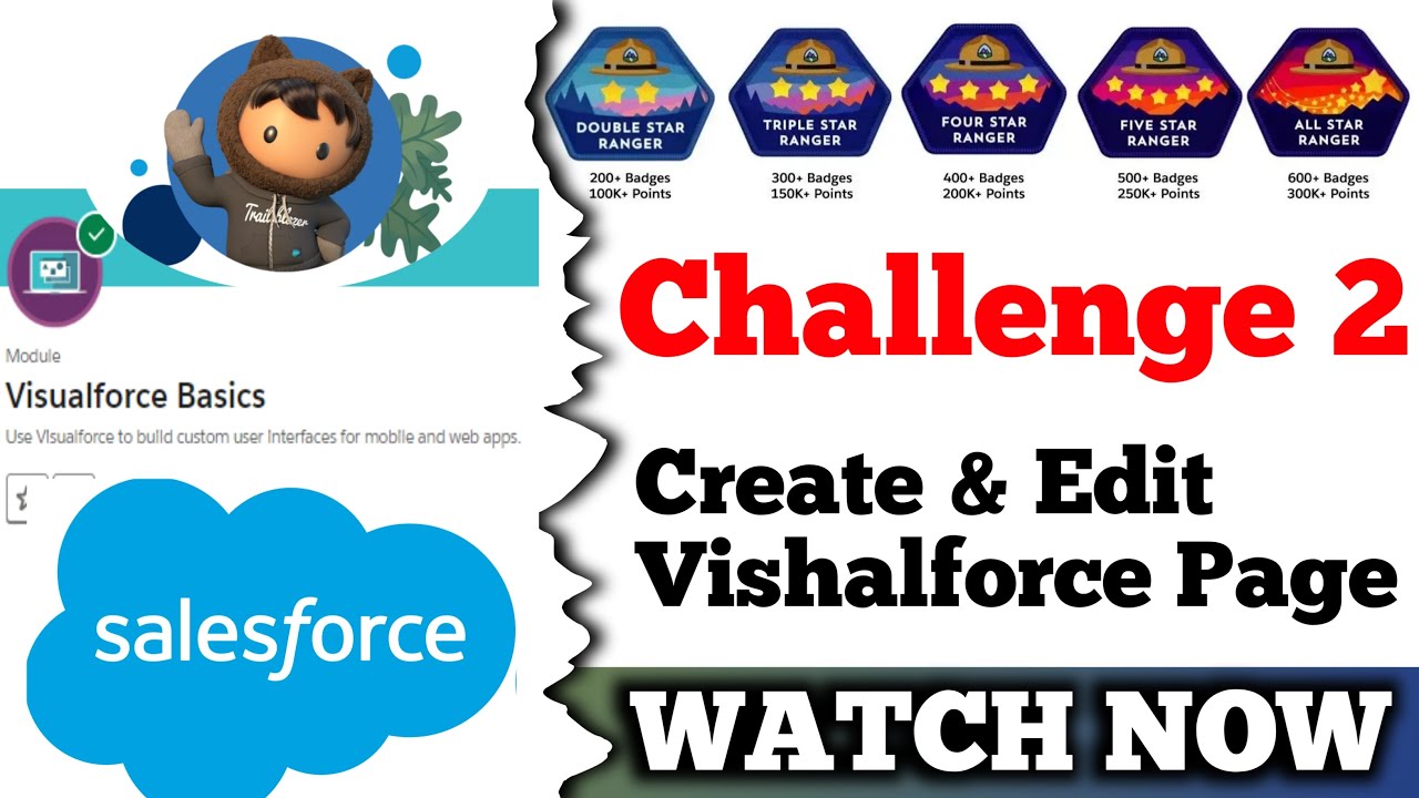 Create And Edit Visualforce Pages Visualforce Basics Salesforce 7774