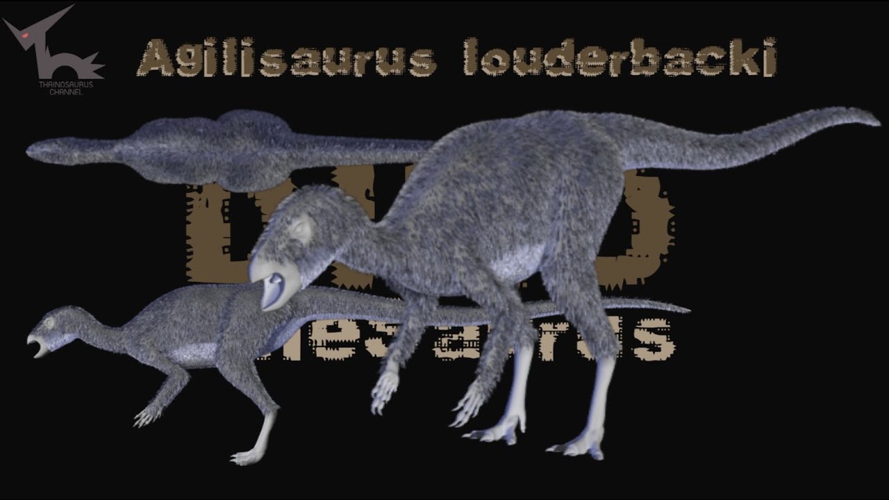 Dino TheSaurus : Model A030 Agilisaurus louderbacki - YouTube
