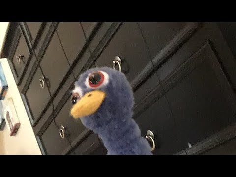 Leo the Emu Puppet - YouTube