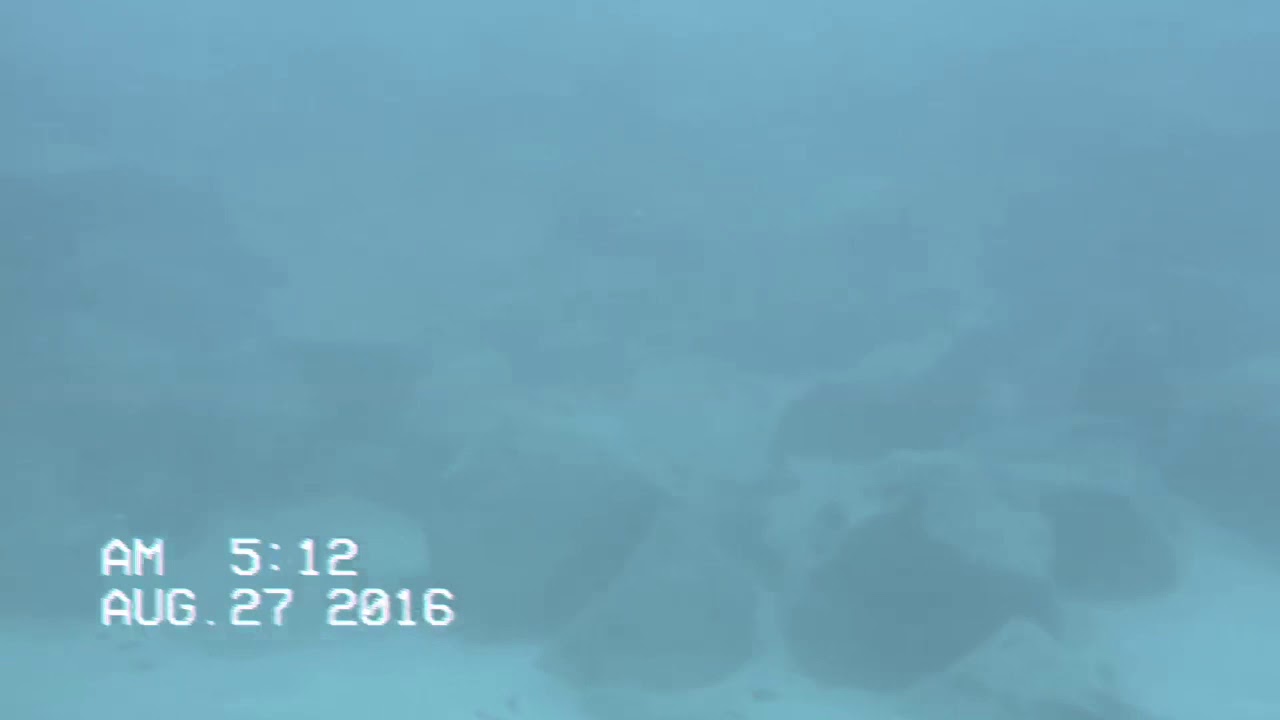 Underwater Footage (vhs effects) - YouTube