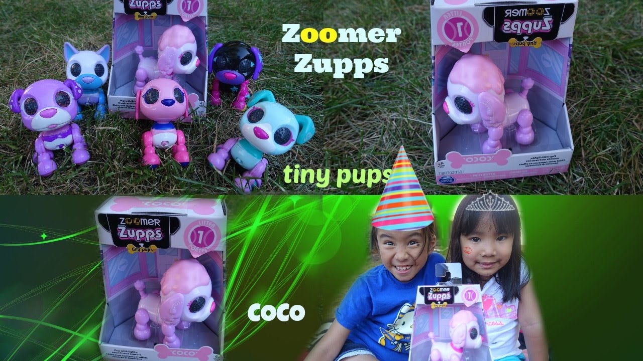 Zoomer Zupps Tiny Pups-CoCo Complete Sets of Zoomer Zupps Tiny Pups ...
