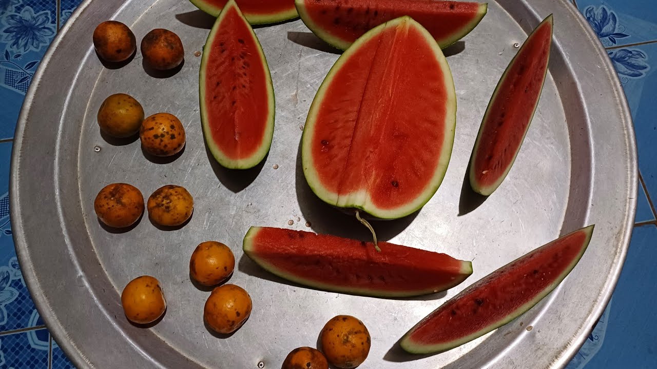 mu yuav lw xu siab thiab dib liab lo noj - YouTube