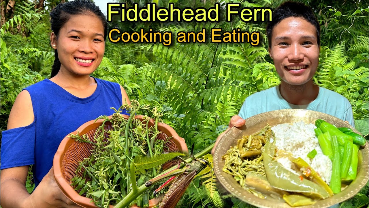 Collecting Fiddlehead Fern From Jungle || Cooking and Eating || Wild ...