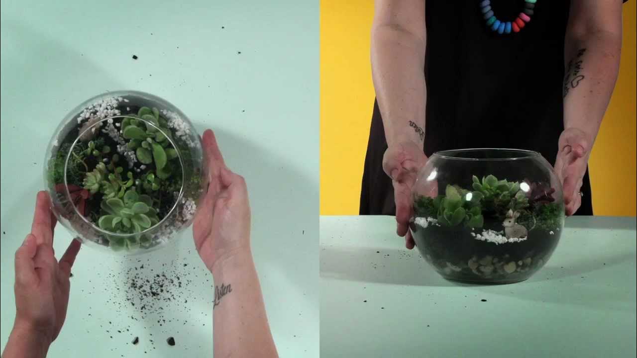 To DIY For - How to make a terrarium - YouTube