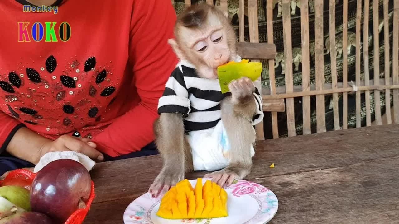 Little Boy Koko Yummy Eating Fruit Mom Preparing For Him - YouTube