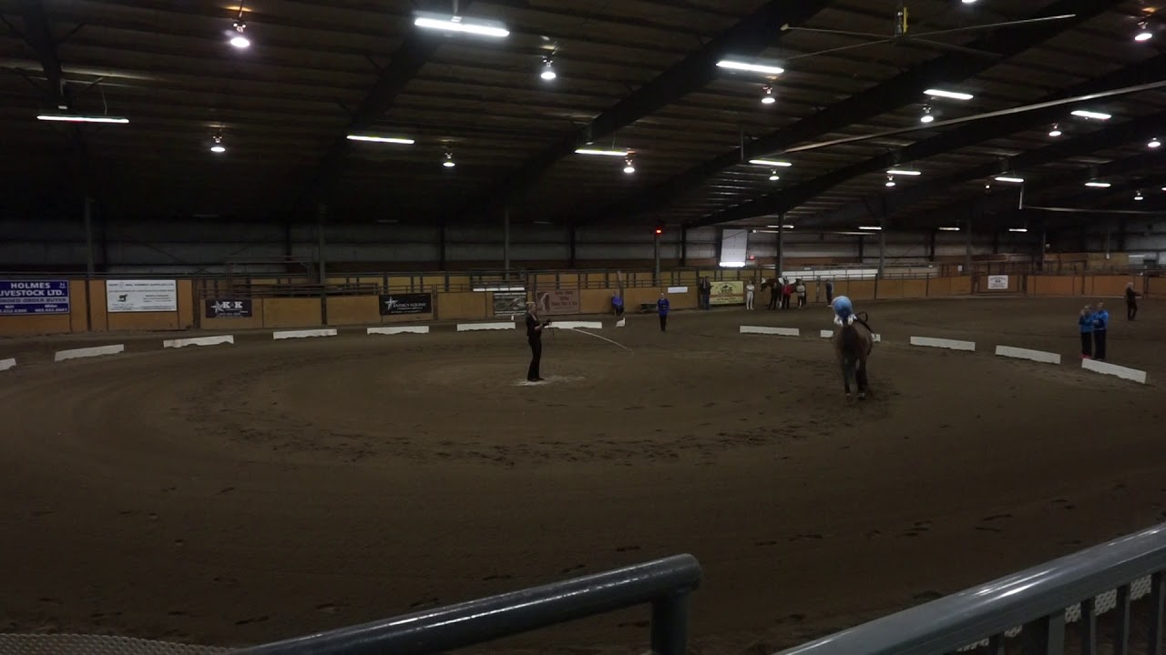 West Coast Averill Saunders Jr Canter A R1 Freestyle 2019 AEVA ...
