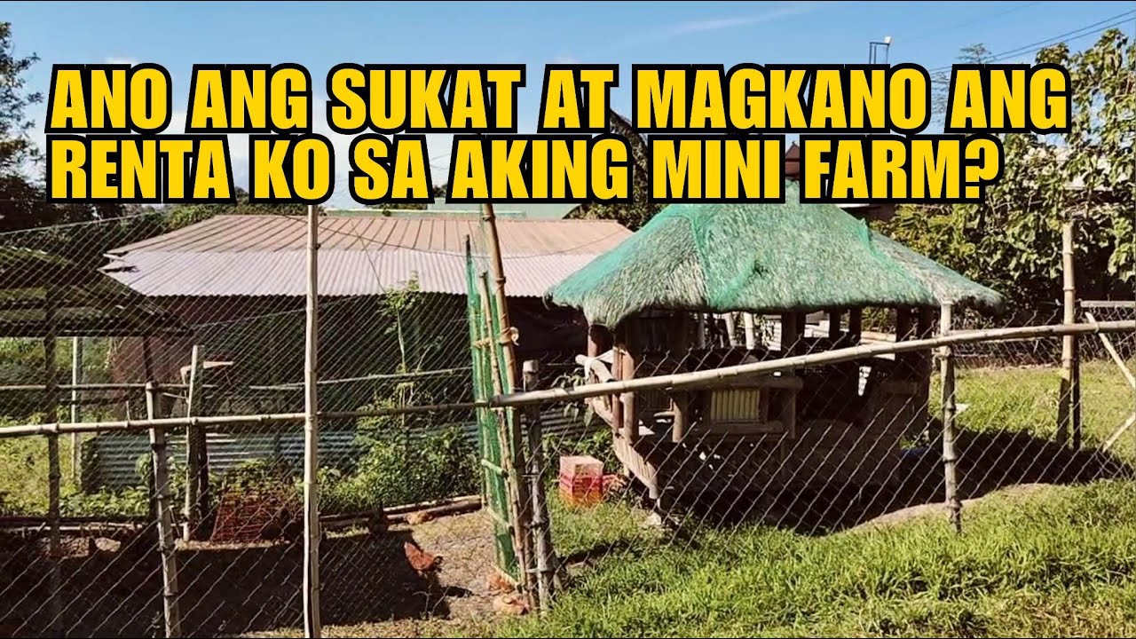 ANO ANG SUKAT AT MAGKANO ANG RENTA KO SA AKING MINI FARM? - YouTube