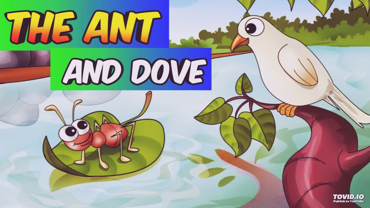 The ant and the dove - story narration - YouTube