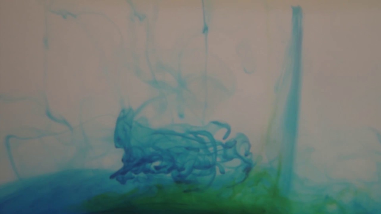 Fragile Animals - Signals - YouTube