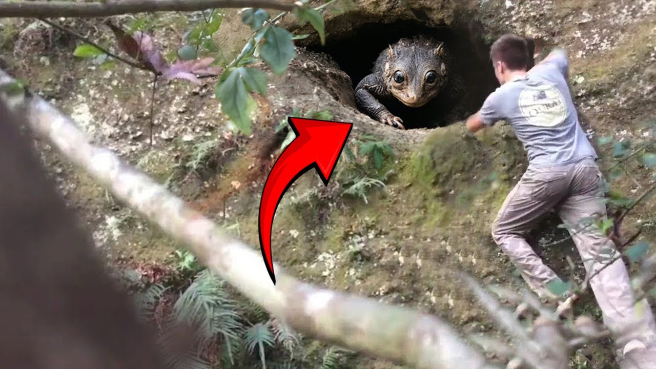 This Boy Captured a Mysterious Animal, What Happened Next Shocked ...