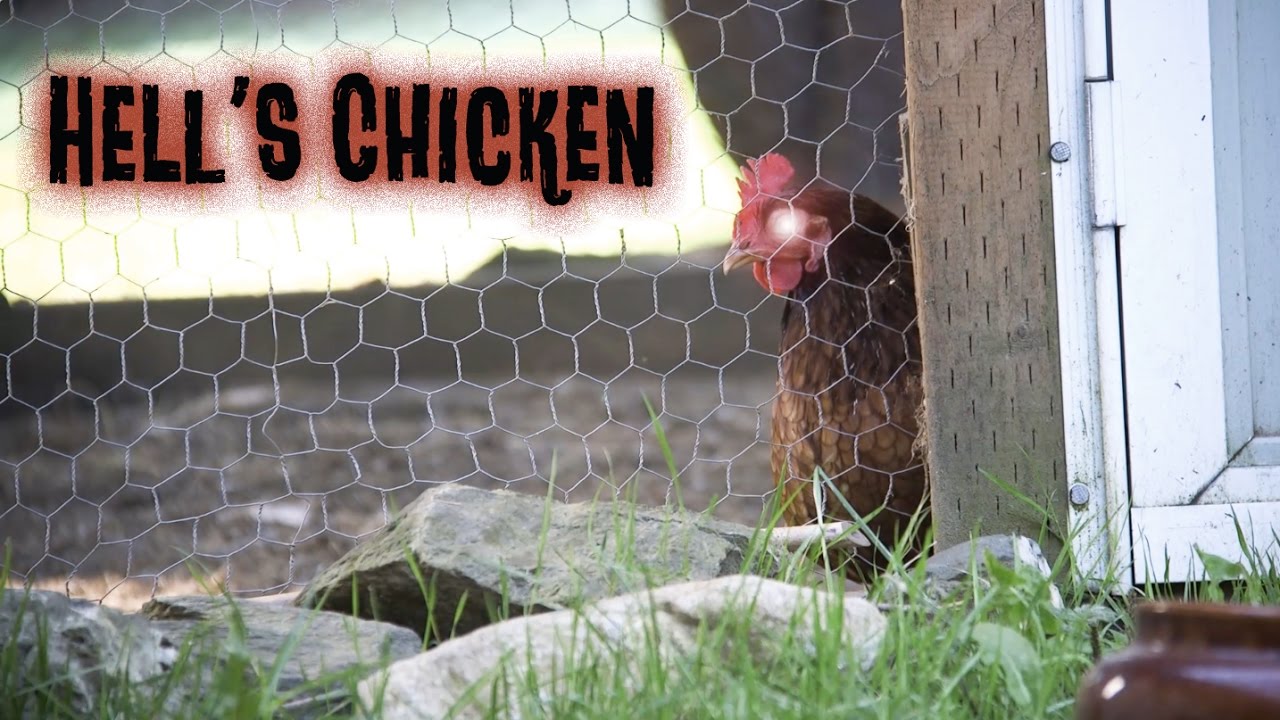 Hell's Chicken: A PNW Horror Short - YouTube