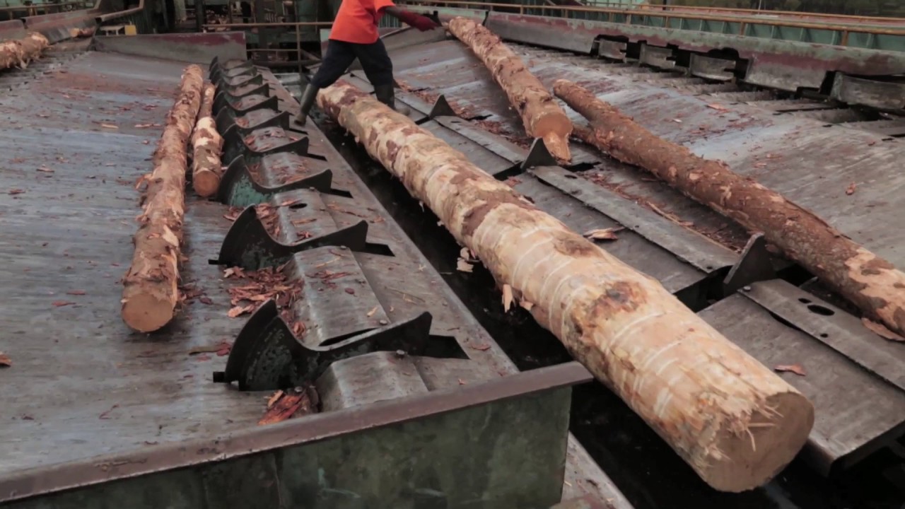 MUFINDI KIWANDA CHA KARATASI 001 - YouTube