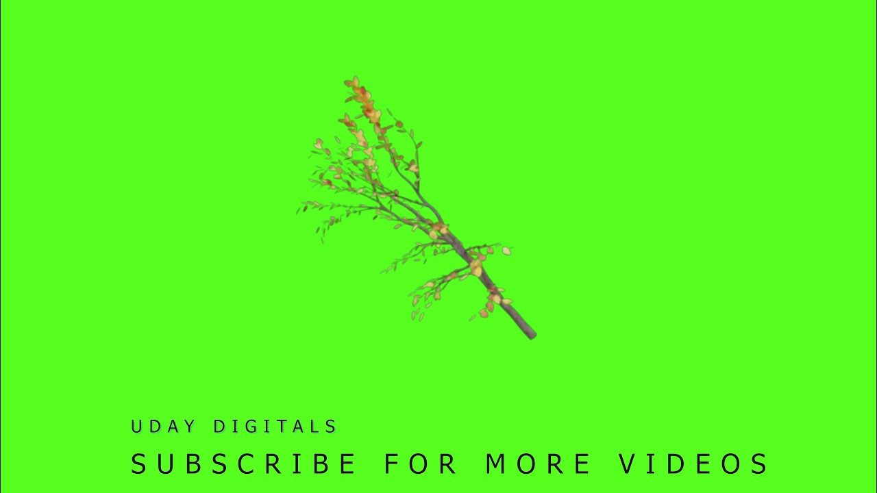 tree green screen, tree leafs green screen, tree branches green screen ...