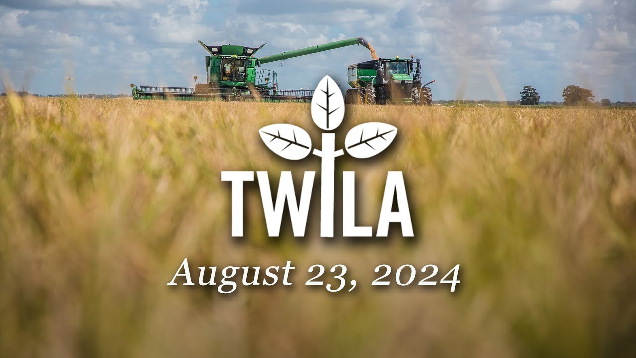 TWILA— August 23, 2024 - YouTube