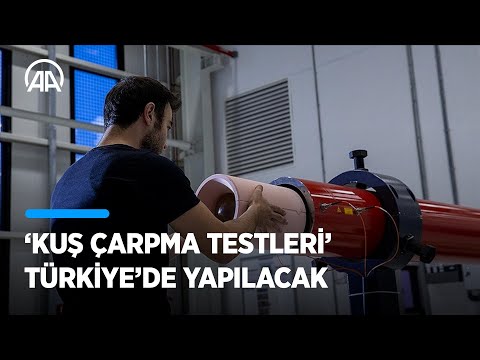 Milli hava araçlarının 'kuş çarpma testleri' Türkiye'de yapılacak