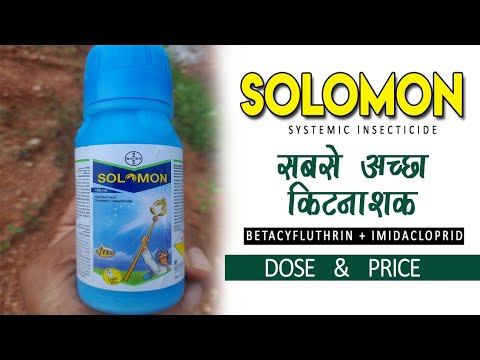bayer ka solomon insecticide | imidacloprid | betacyfluthrin | best ...