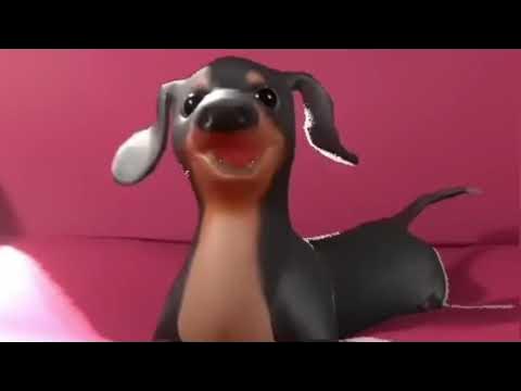 Dog of Wisdom II Fungus Amongus (1 hour) - YouTube