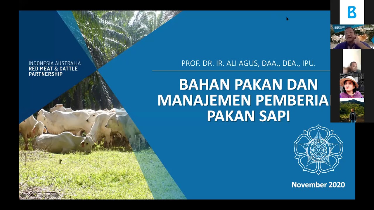 Bahan Pakan dan Manajemen Pemberian Pakan Sapi - Prof. Dr. Ali Agus ...