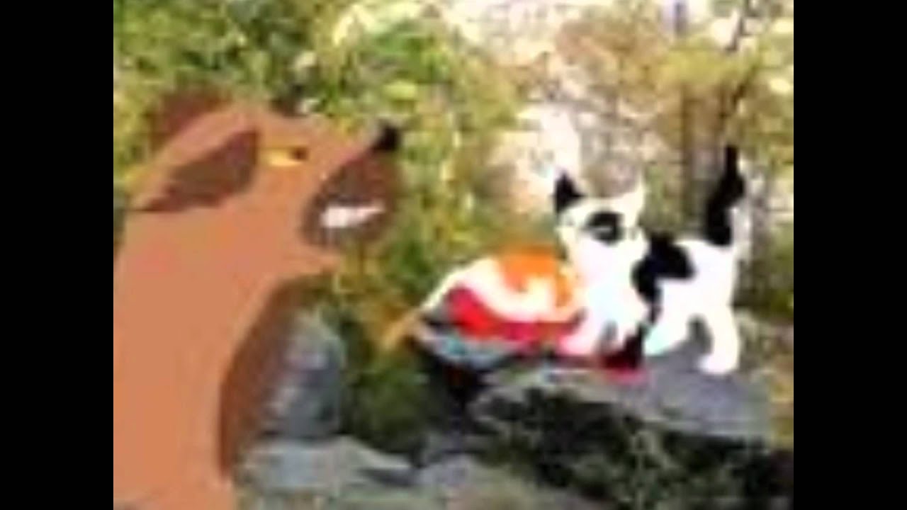 Warriors Amv. Swiftpaw. If today was your last day. - YouTube