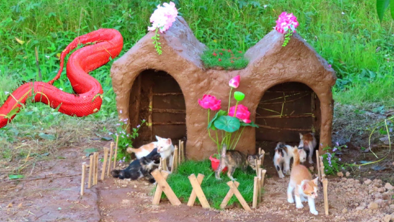 Rescue Kittens From Red Snake In Forest And Build Mud House Cat ...