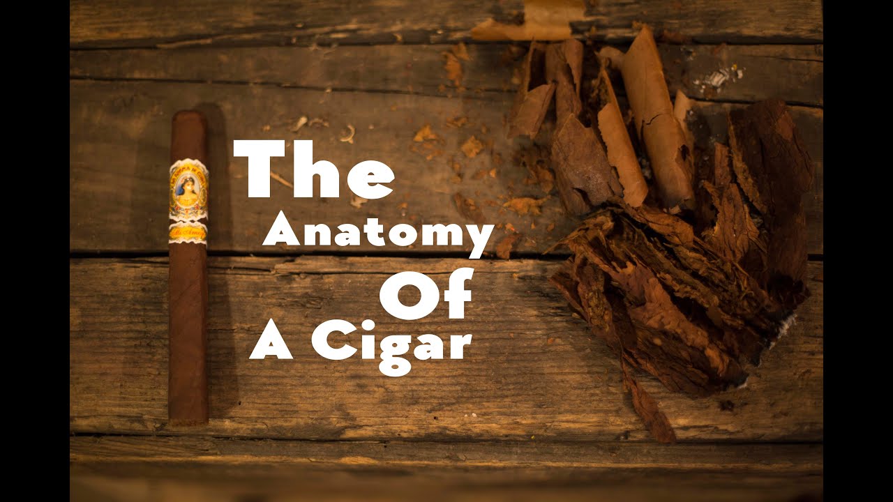 The Anatomy of a cigar - YouTube