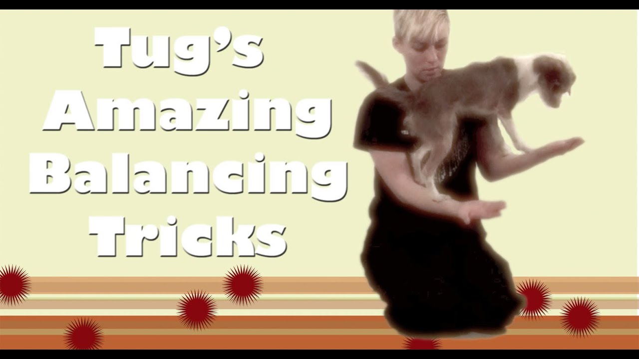 Tug's amazing balancing dog tricks - YouTube