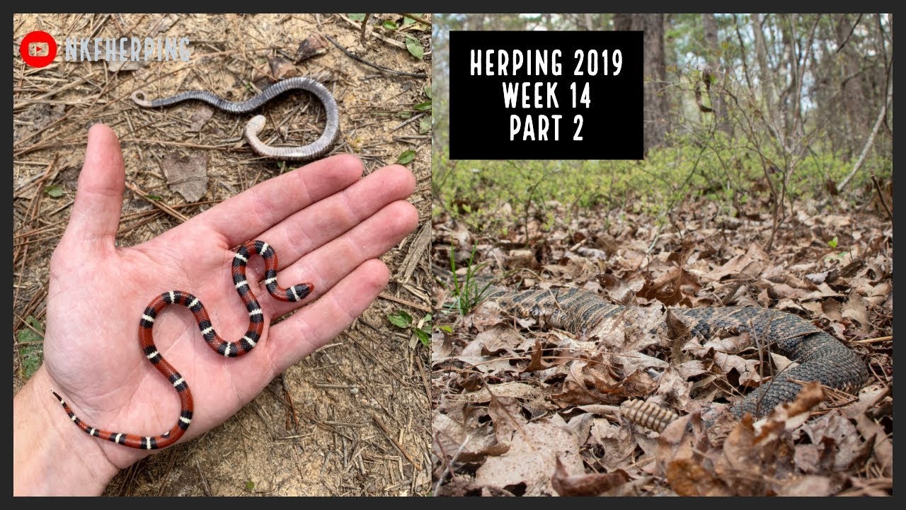 Put The Rock Back - YouTube