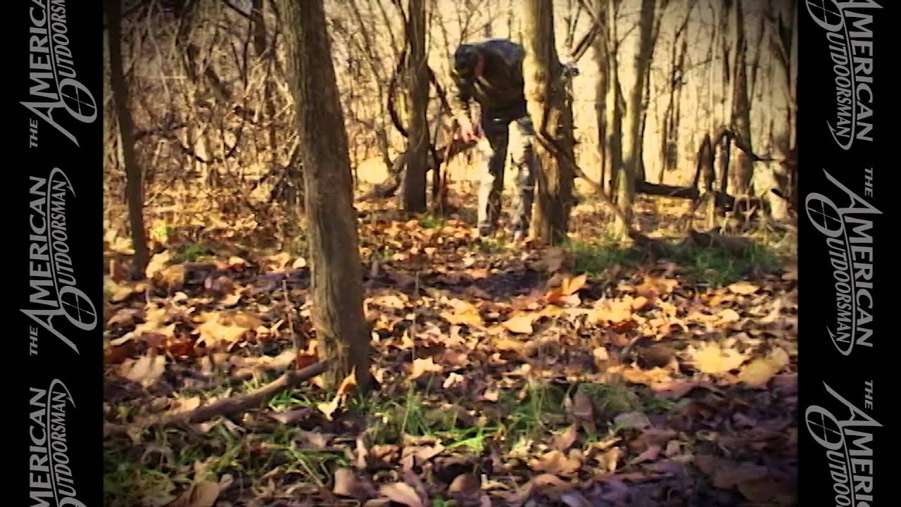 Whitetail Unicorn Buck in Illinois - YouTube