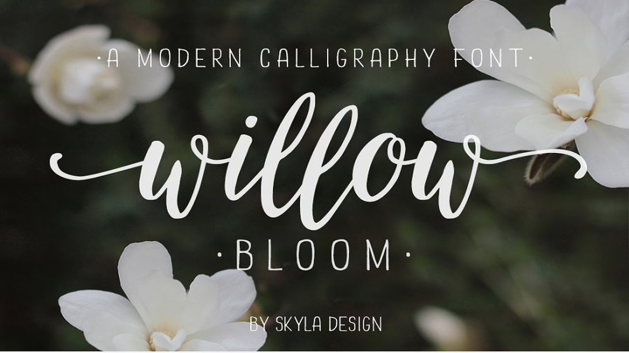 Willow Bloom modern calligraphy font Font Free Download - YouTube