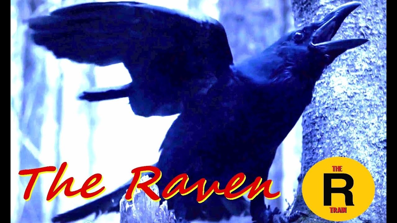 The R Train Band - "The Raven" - Official Music Video - YouTube