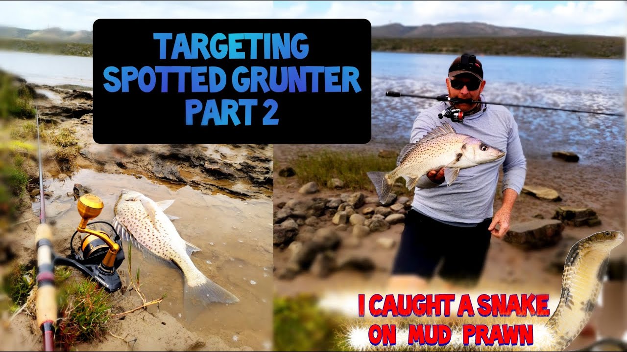 How to fish for the Spotted Grunter PART 2/3 - YouTube