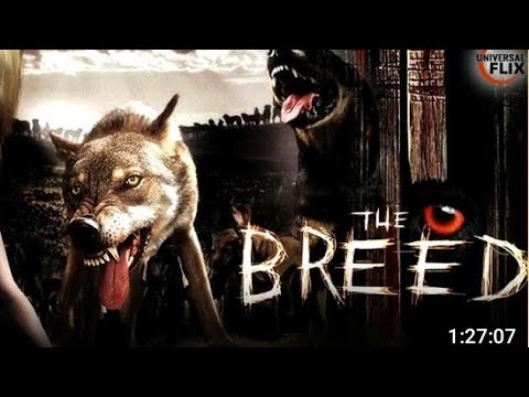 breed movie |explain in Urdu |breed film 2006,| breed film - YouTube