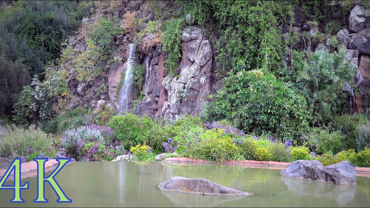 Botanical Garden, Gran Canaria 4K Waterfall and Birds singing - YouTube