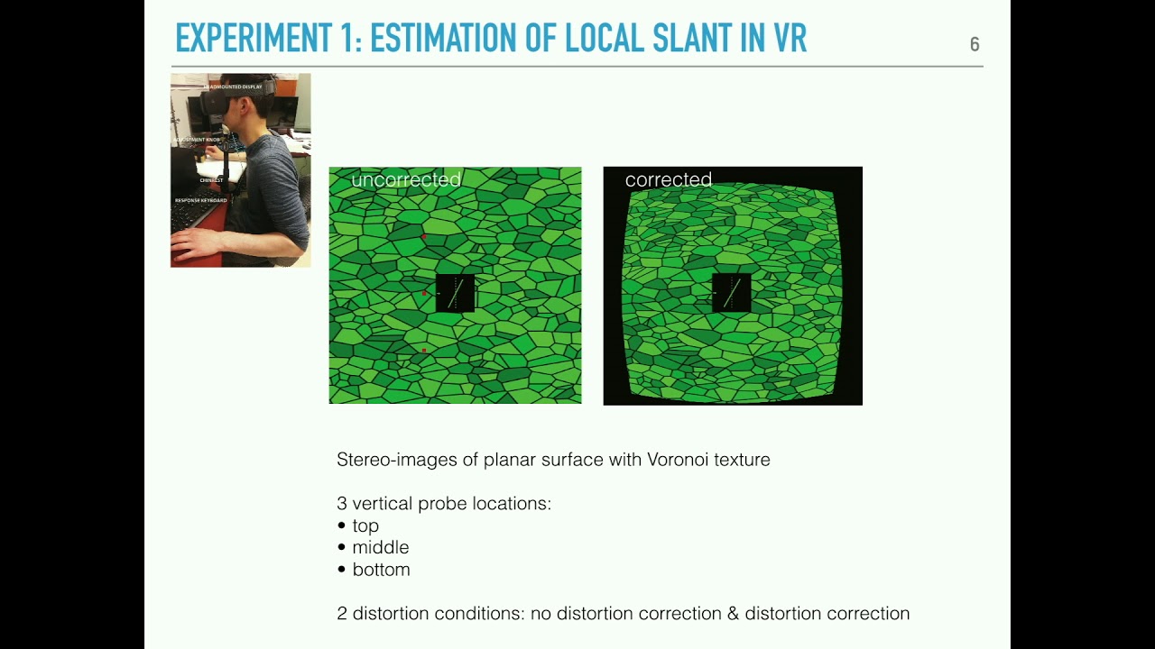 SD&A 2020: The impact of radial distortions in VR headsets on perceived ...