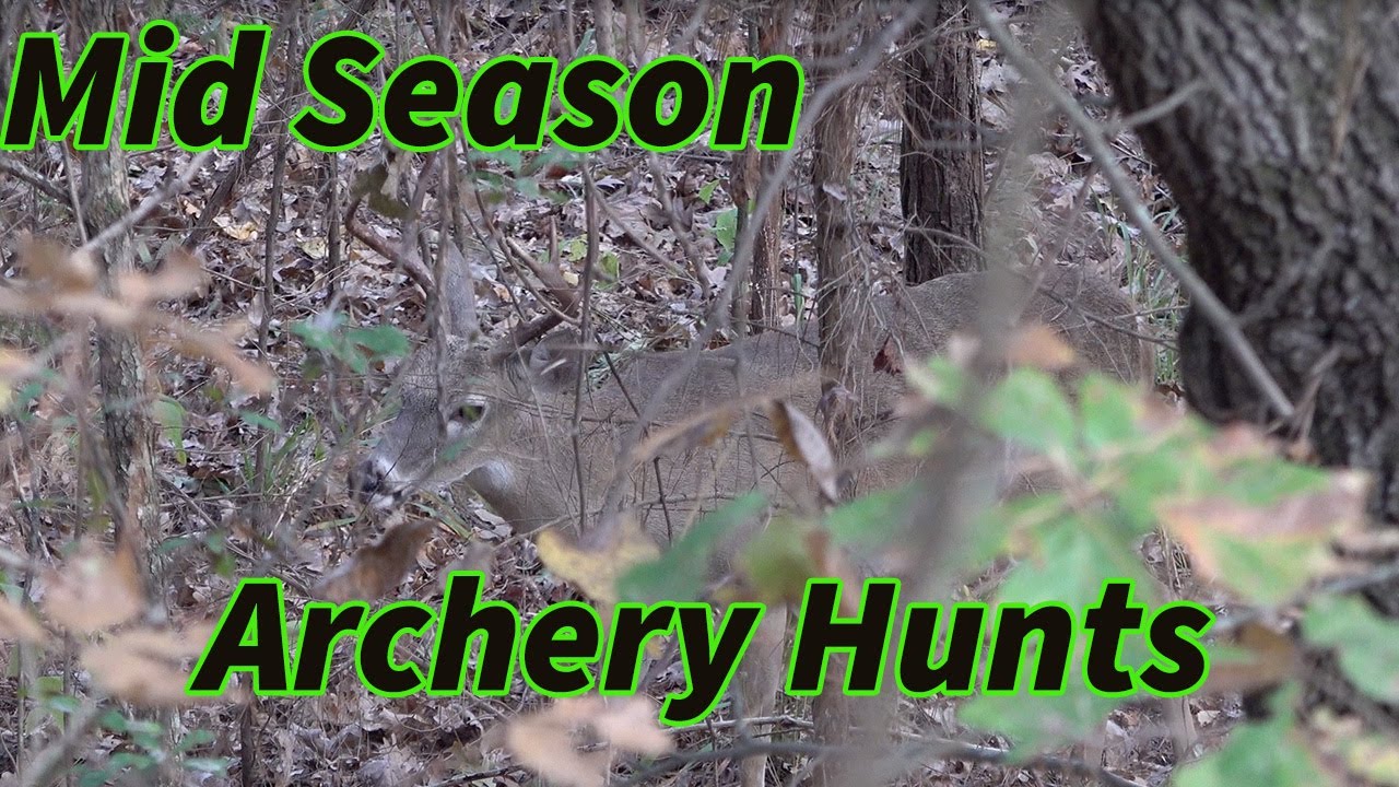Mid Archery Season Encounters/Hunts - YouTube