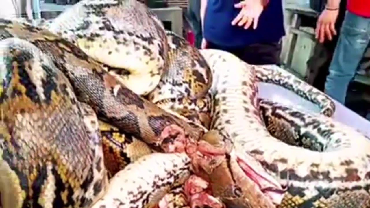 The most Exotic Market/ - YouTube